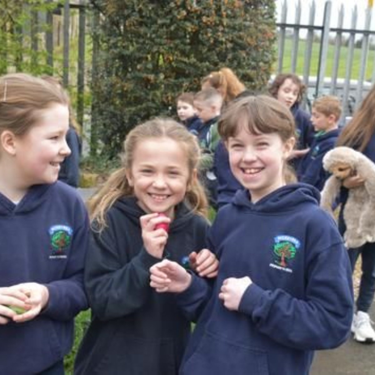 Moneyrea Primary School and Nursery - East Egg Hunt