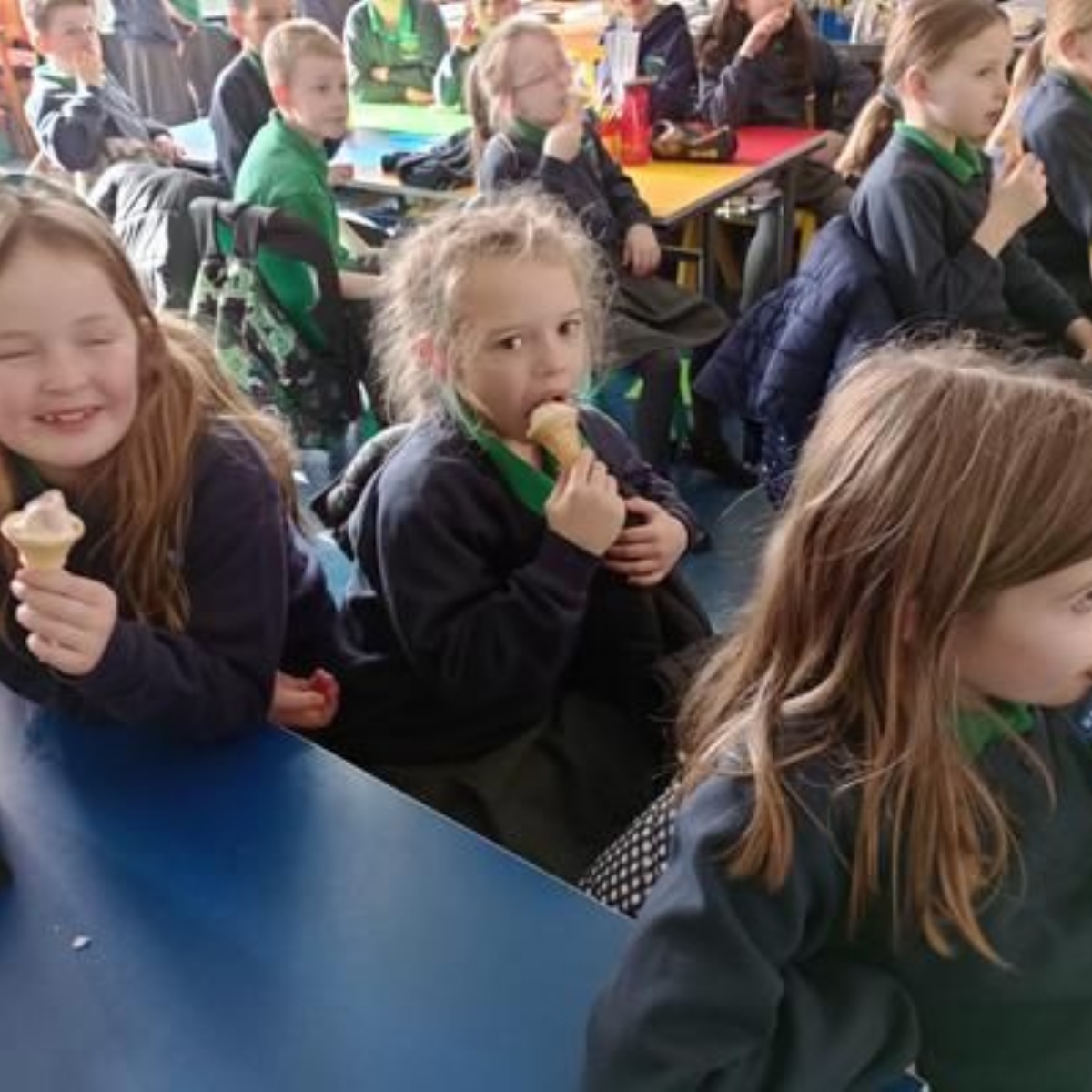 Moneyrea Primary School and Nursery - Year 4 Treat Day